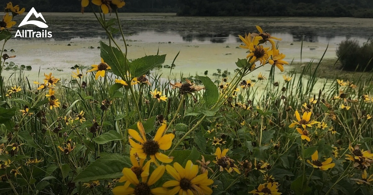 Best hikes and trails in Normandale Lake Park | AllTrails