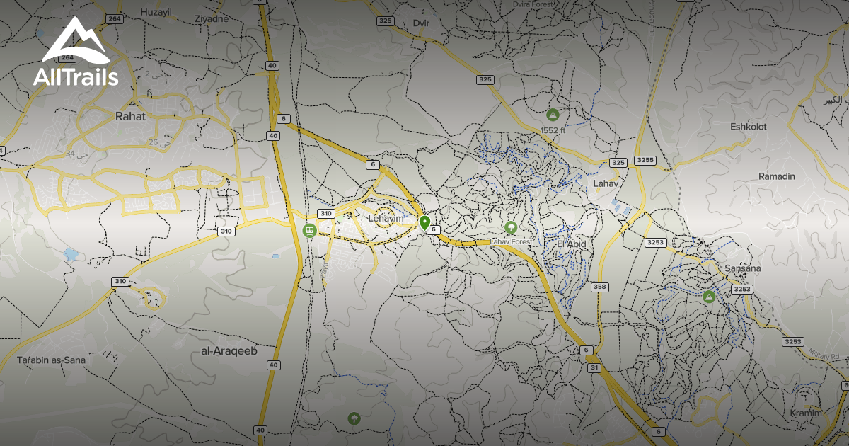 Best hikes and trails in Southern Lahav Nature Reserve | AllTrails