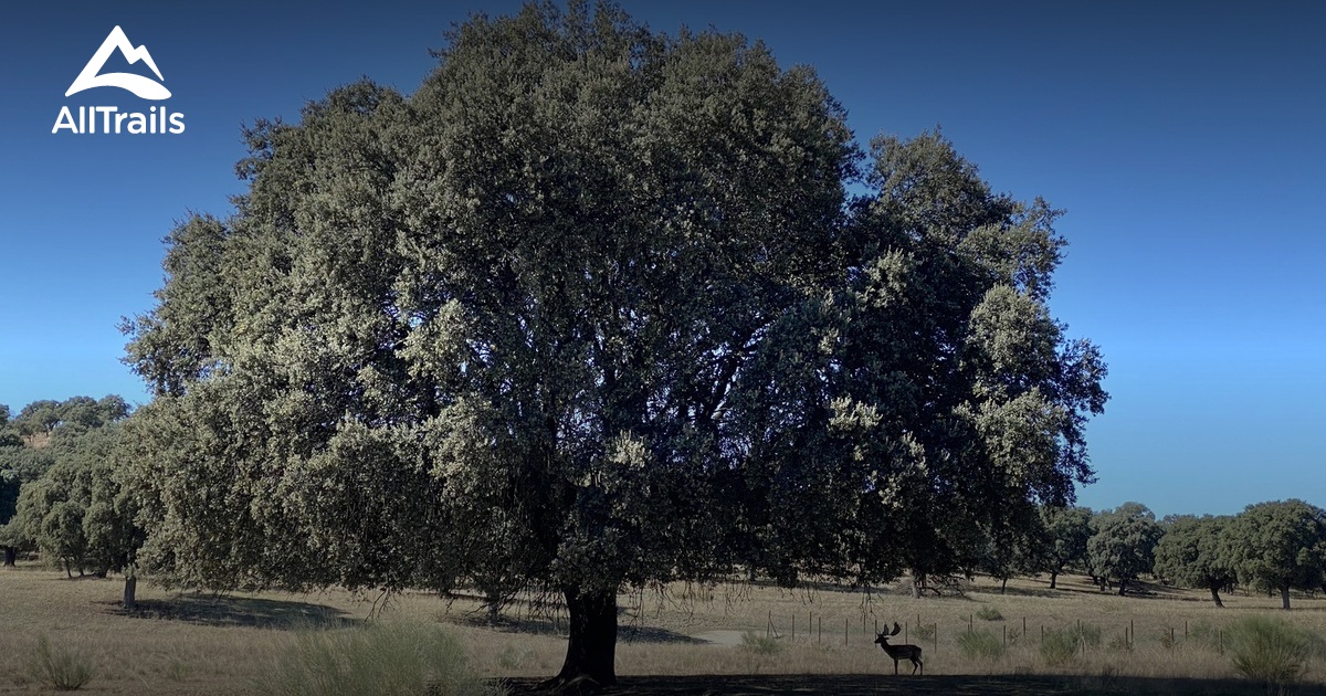 Best hikes and trails in Monte de El Pardo | AllTrails