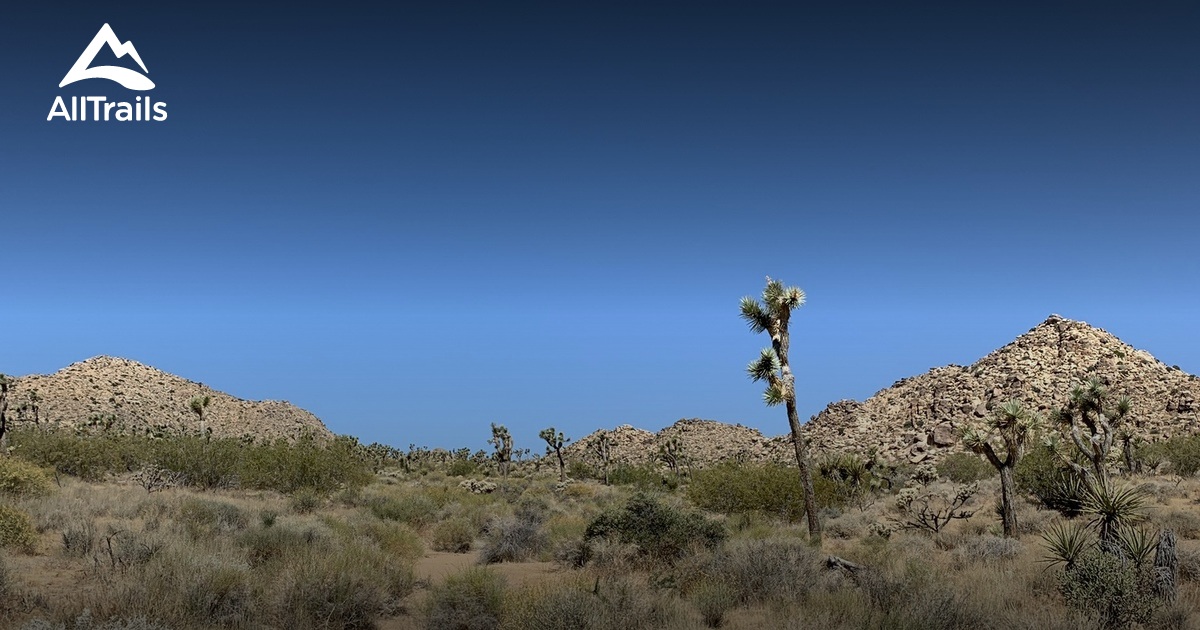 Best hikes and trails in Mojave Desert Land Trust | AllTrails