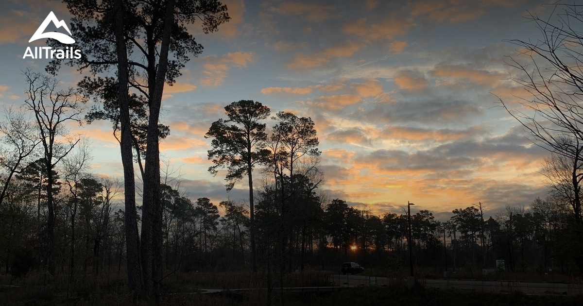 Najlepsze szlaki spacerowe w: Houston Arboretum and Nature Center ...