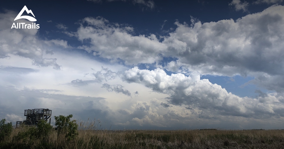 Best hikes and trails in Delta Marsh Wildlife Management Area | AllTrails