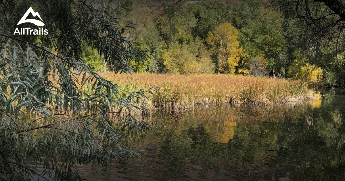 Best hikes and trails in Beus Park | AllTrails