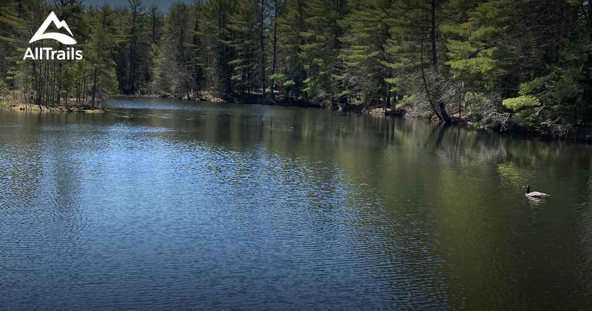 Best hikes and trails in Beaver Park | AllTrails