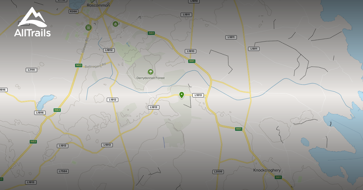 Best wildflower trails in Ballymurray Forest | AllTrails