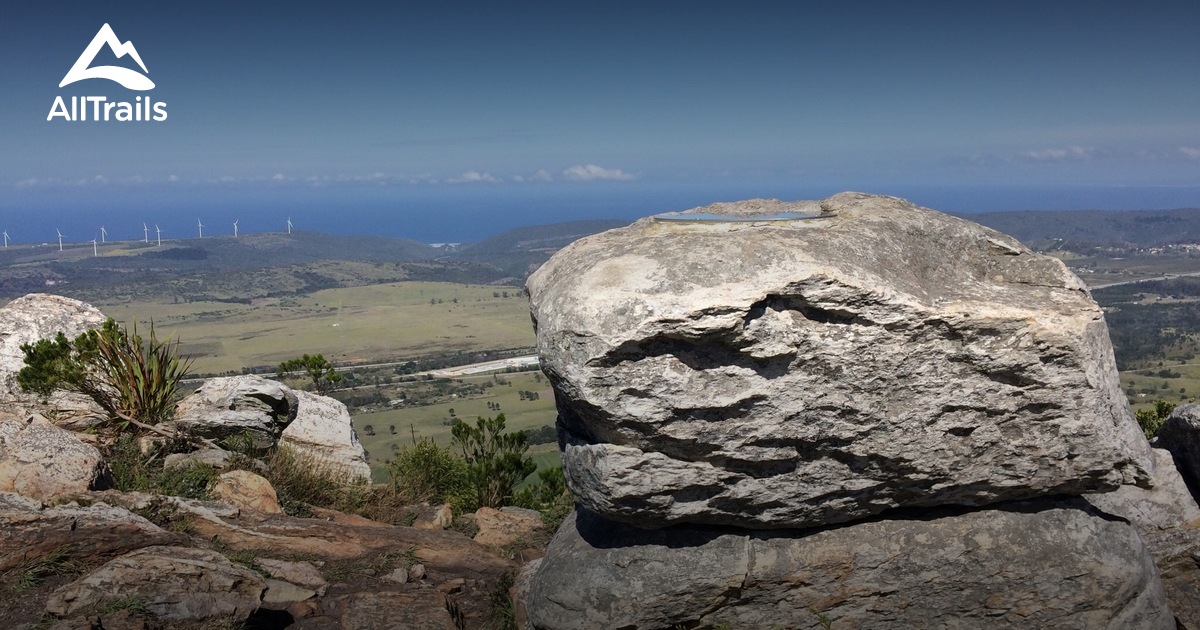 Best hikes and trails in Lady's Slipper Nature Reserve | AllTrails