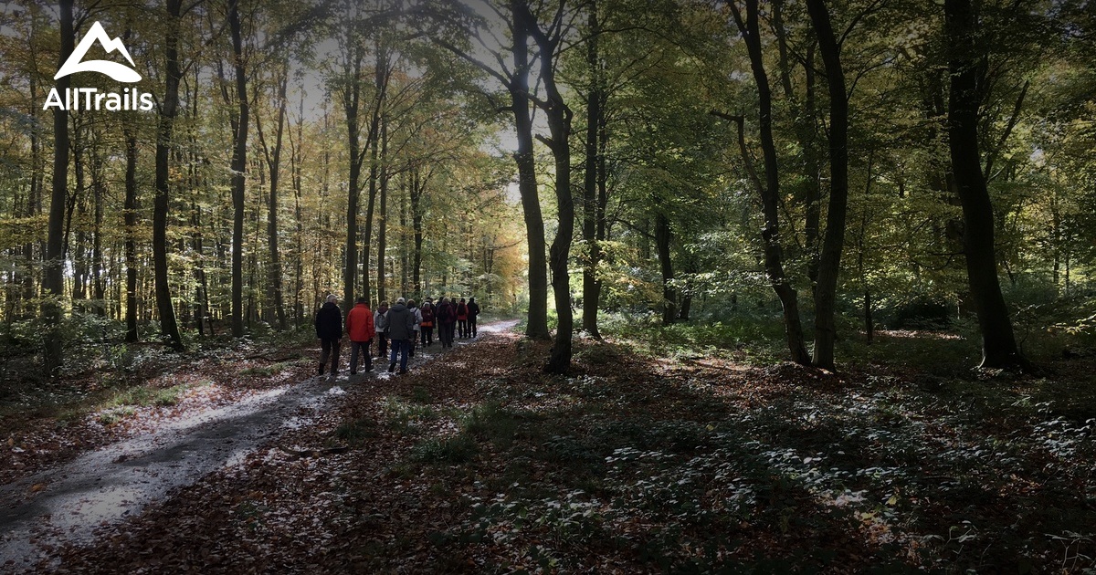 Best walking trails in Forêt Domaniale de Roumare | AllTrails