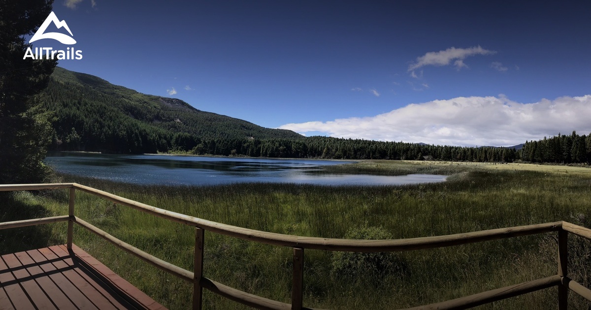 Best hikes and trails in Coyhaique National Reserve | AllTrails