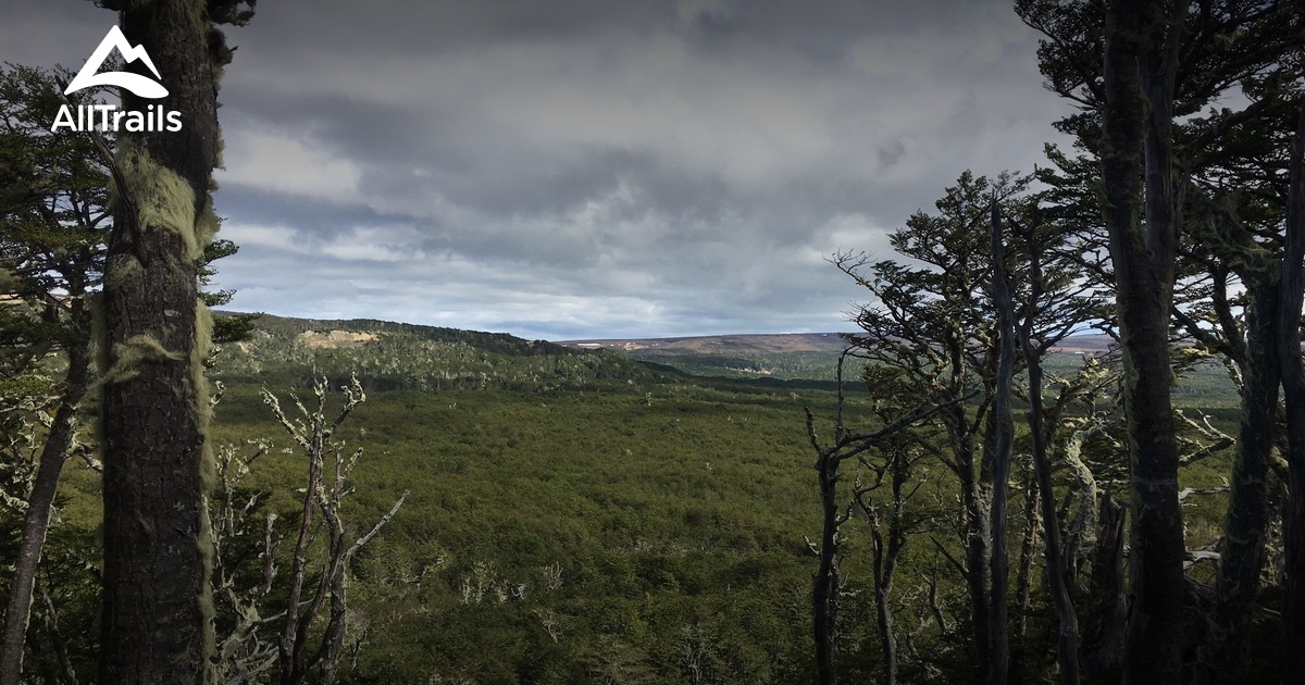 Best hikes and trails in Magallanes National Reserve | AllTrails