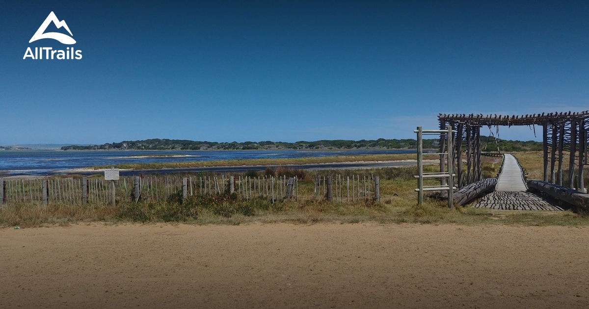 Best hikes and trails in Botrivier Nature Reserve | AllTrails