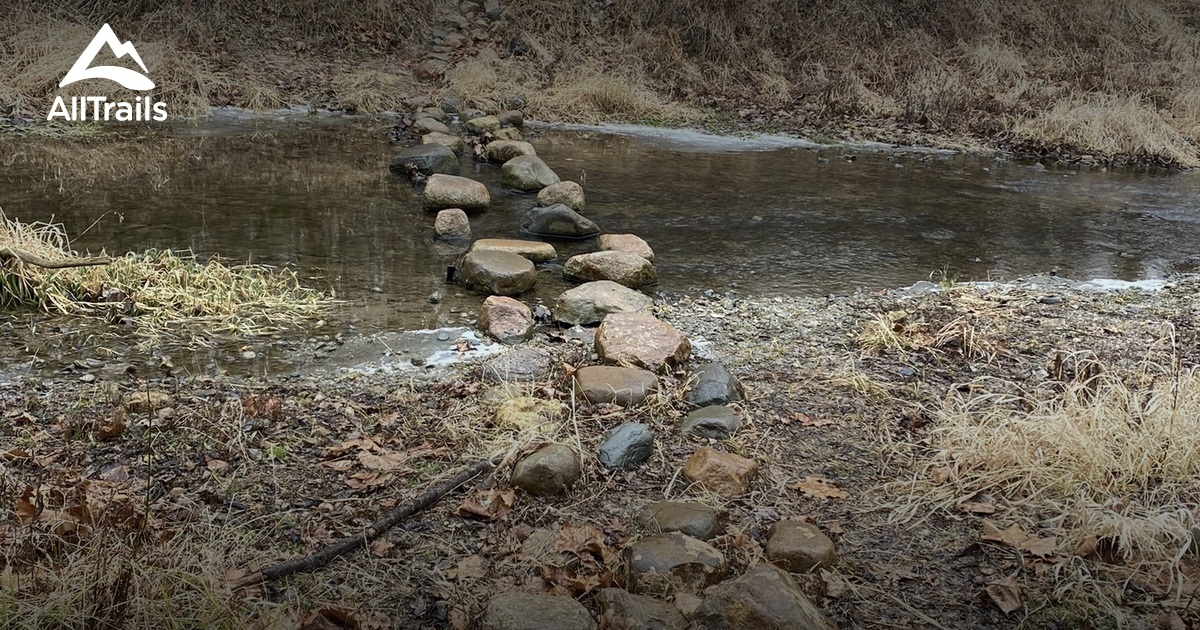 Best hikes and trails in Martell Forest | AllTrails