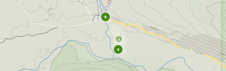 Best Trails in Ya Ha Tinda Ranch | AllTrails