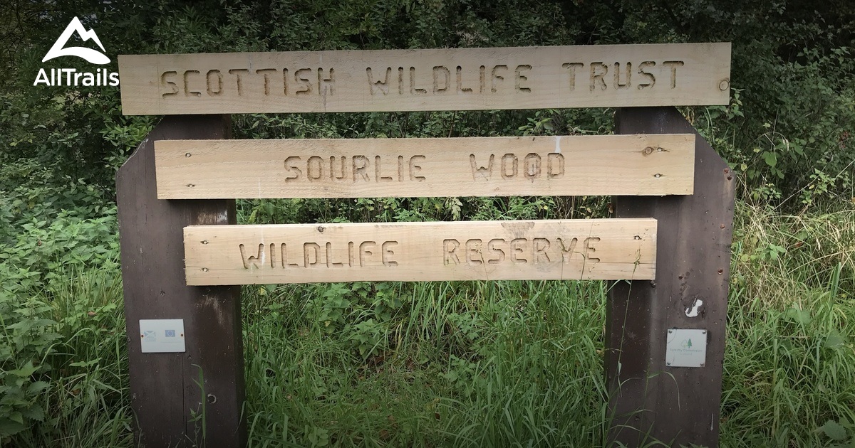 Best walking trails in Eglinton Country Park | AllTrails