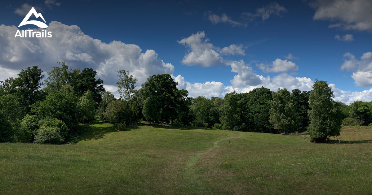 Best hikes and trails in Fulltofta naturreservat | AllTrails