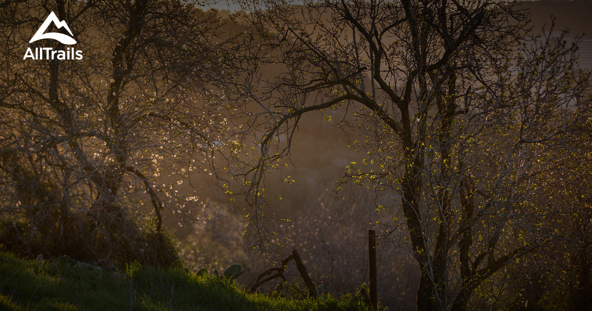 Best hikes and trails in Tel Tzova National Park | AllTrails