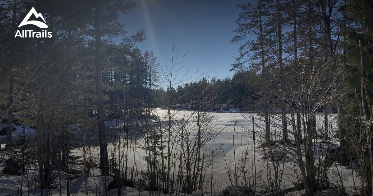 Best forest trails in Blåfjell Nature Reserve | AllTrails