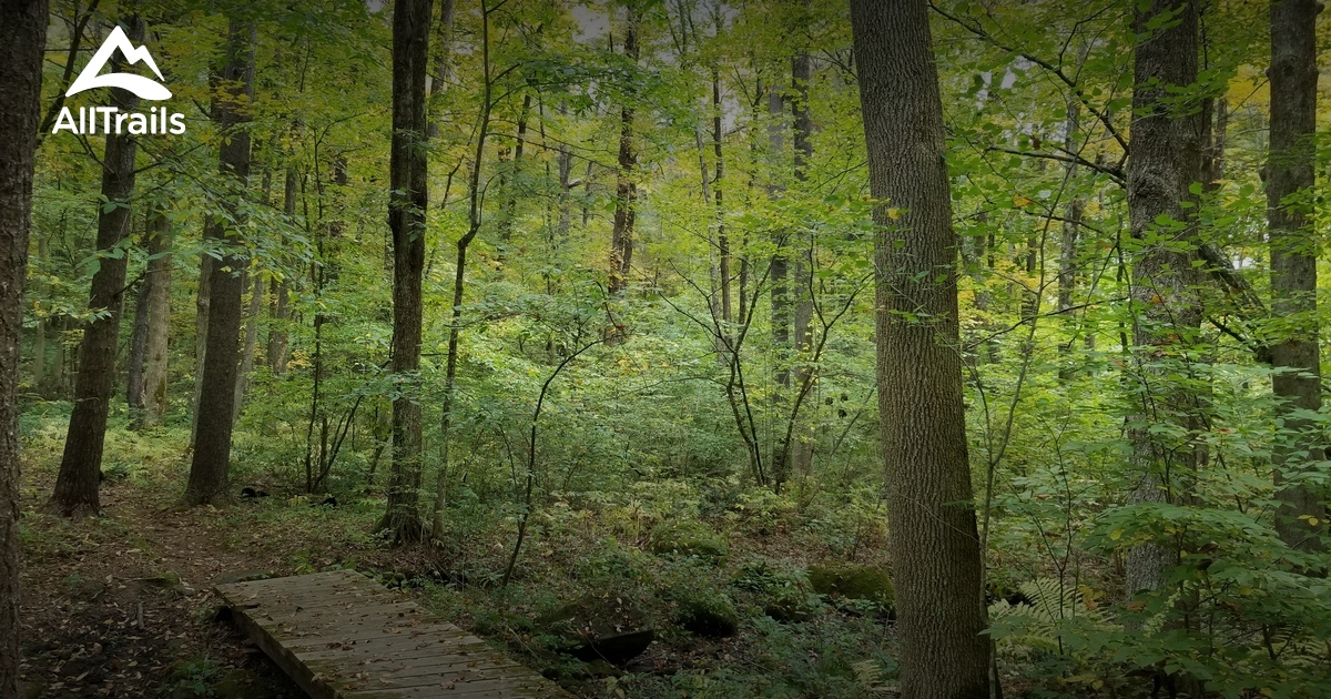 Best hikes and trails in French Park | AllTrails