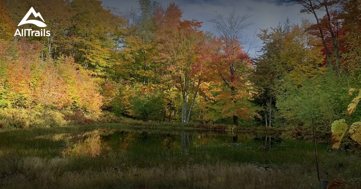Best hikes and trails in Saint Albans Town Forest | AllTrails