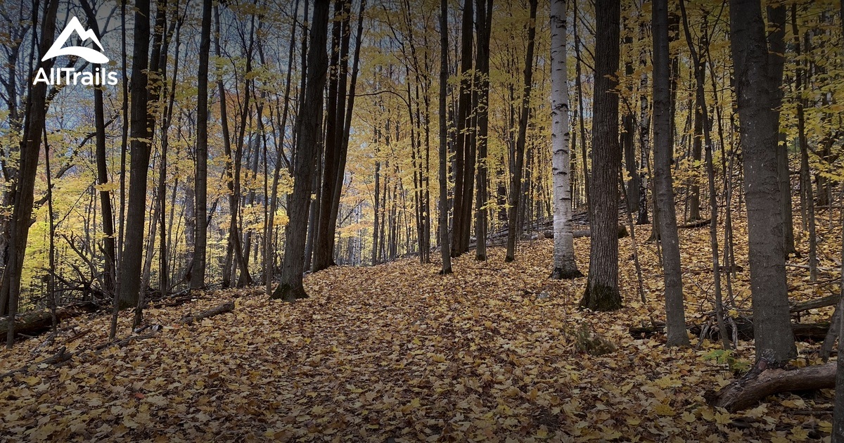 Best hikes and trails in Wesley Clover Park | AllTrails