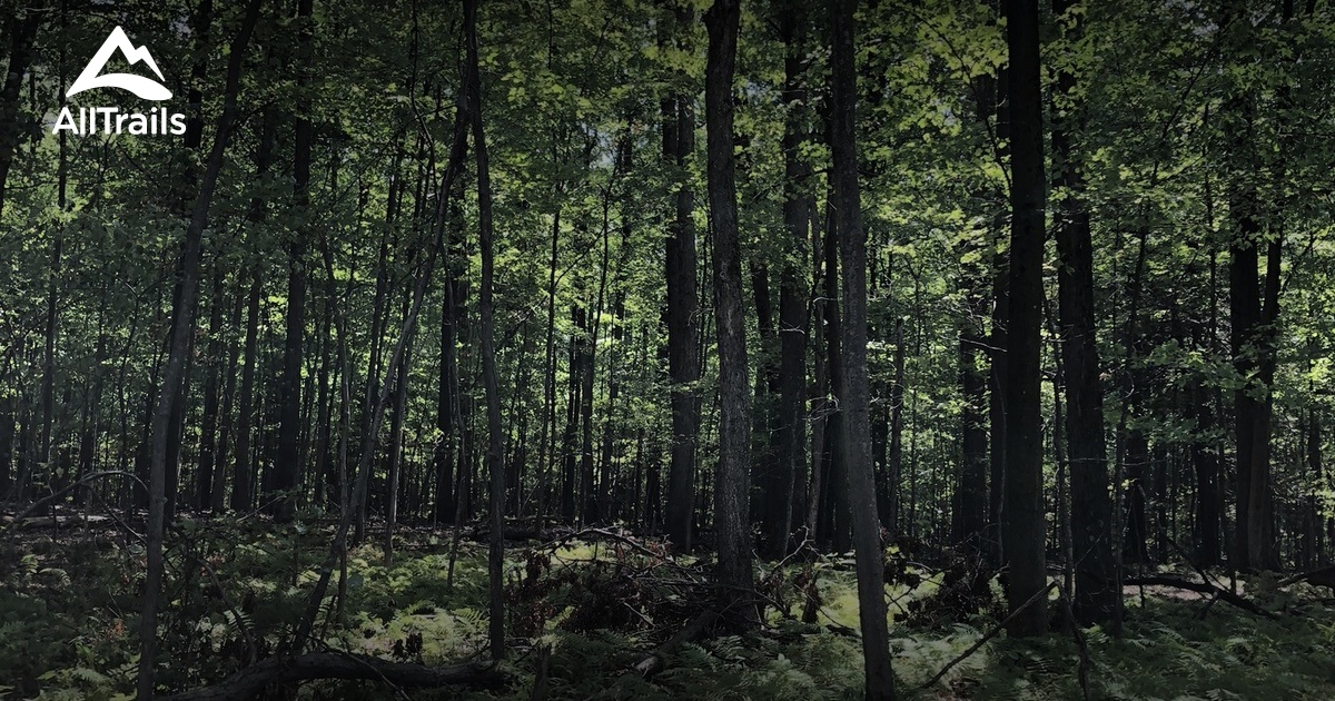 Best hikes and trails in Patton Woods Nature Recreation Area | AllTrails