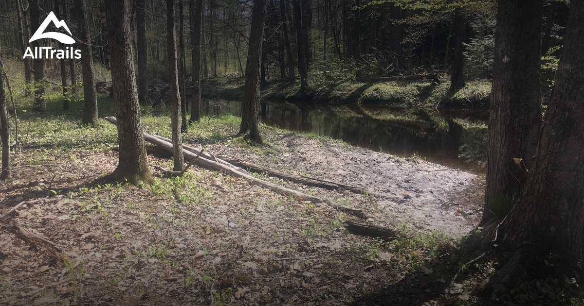 Best hikes and trails in Little River Conservation Area | AllTrails