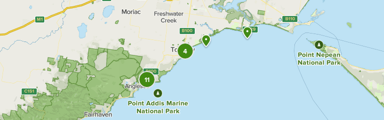 Best trails in Lorne Queenscliff Coastal Reserve | AllTrails