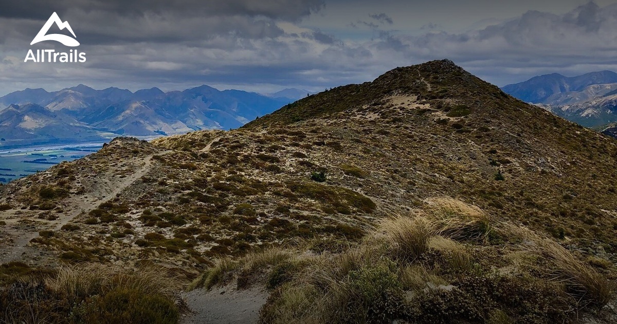 Best hikes and trails in Hanmer Forest Park | AllTrails