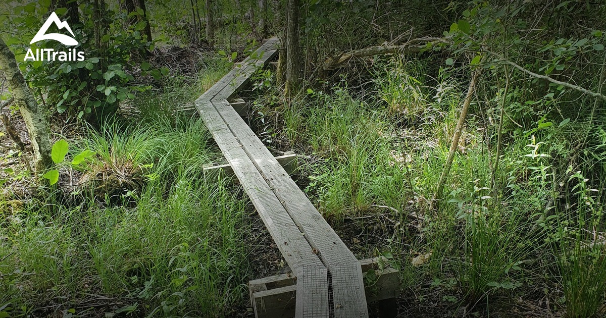 De beste redelijk uitdagende routes in Brokinds naturreservat | AllTrails