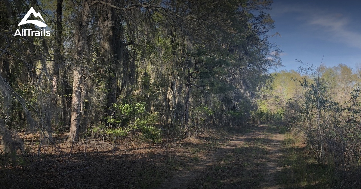 Best hikes and trails in Ditch Pond Heritage Preserve | AllTrails