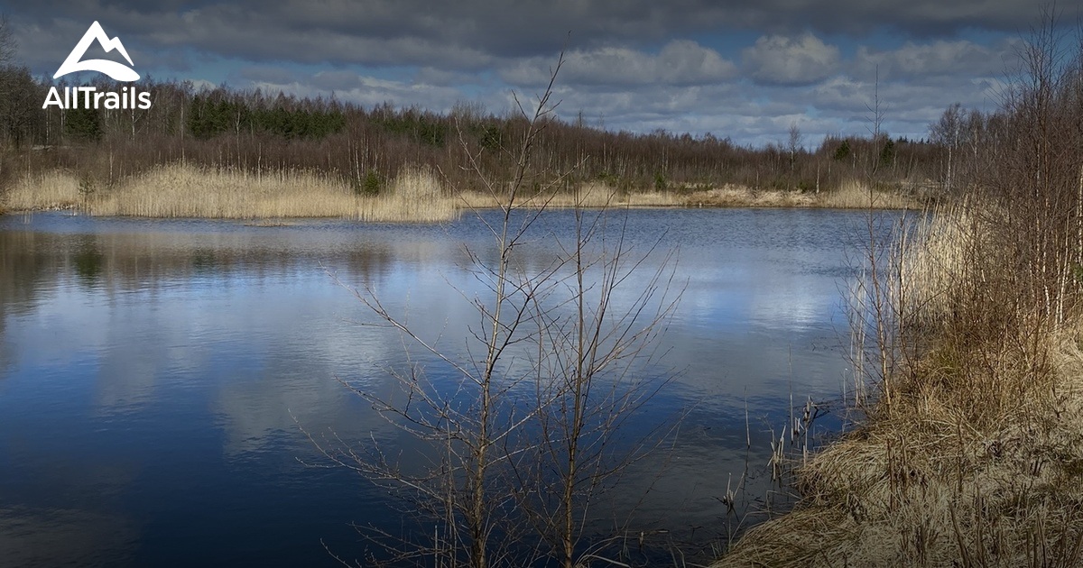 Best moderate trails in Bokhultets naturreservat | AllTrails