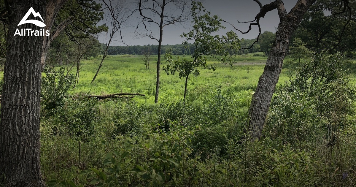 Best hikes and trails in Wolf Oak Woods Preserve | AllTrails