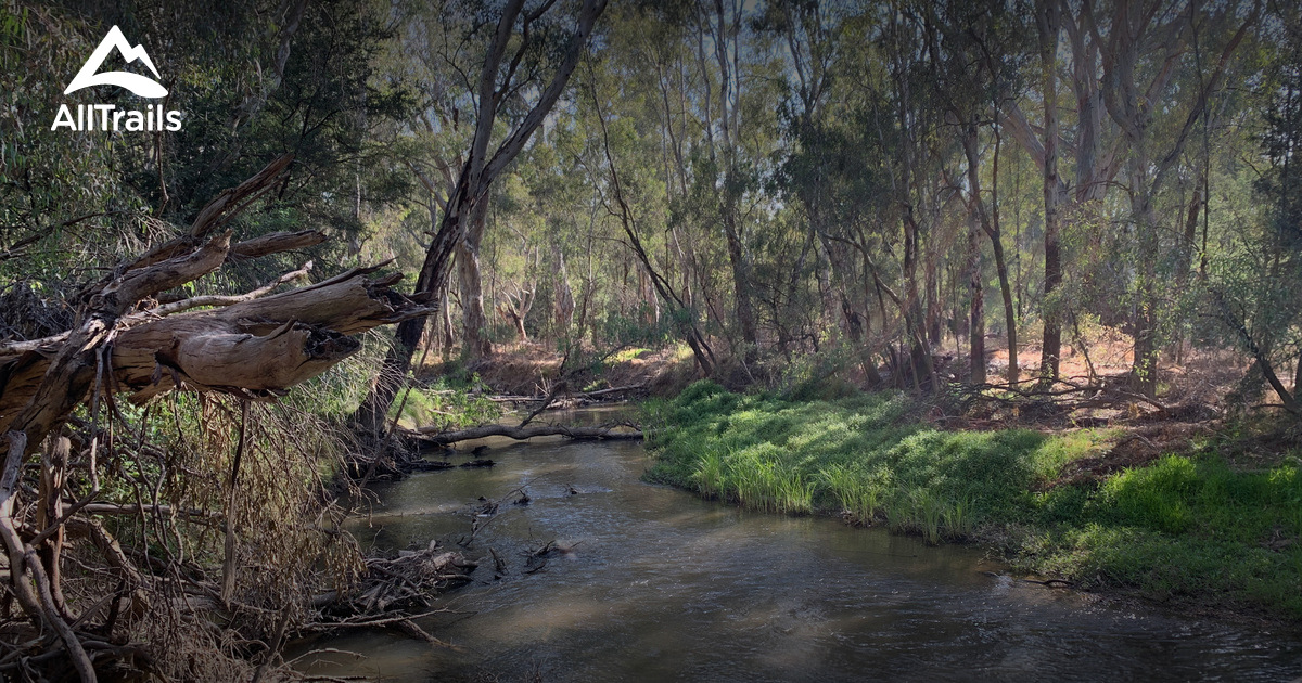 Best hikes and trails in Merriwa Park | AllTrails