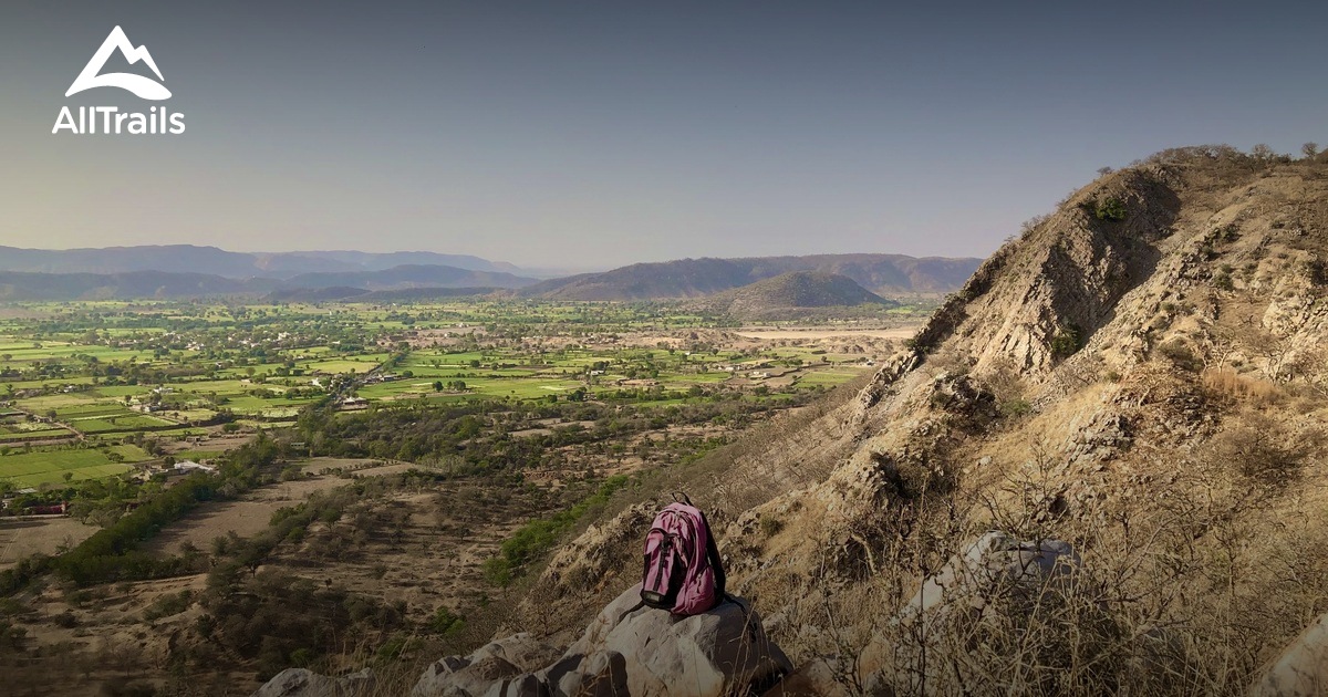 Best hikes and trails in Jamwa Ramgarh Wildlife Sanctuary | AllTrails