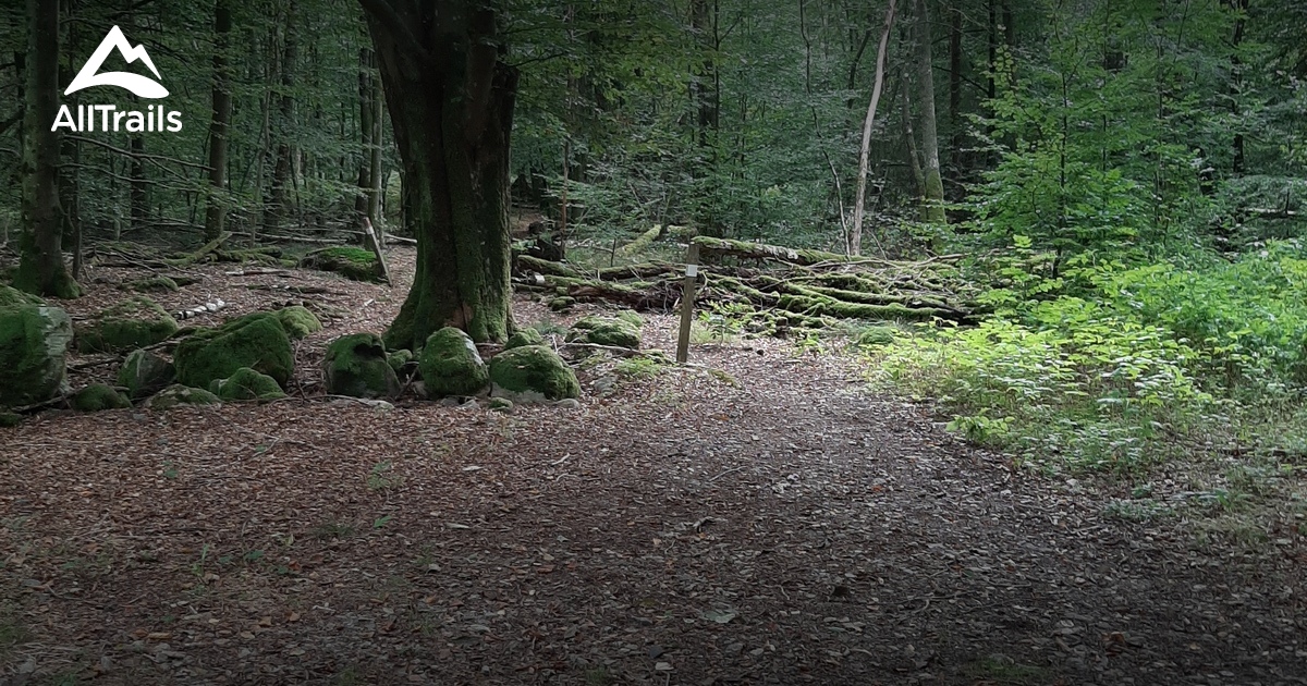 Best lake trails in Näsnabbens naturreservat | AllTrails