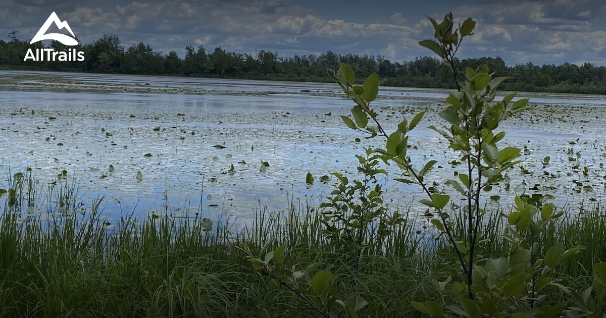 Best hikes and trails in Lake Alice Wildlife Management Area | AllTrails