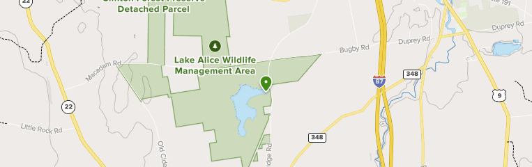 Best Hikes and Trails in Lake Alice Wildlife Management Area | AllTrails