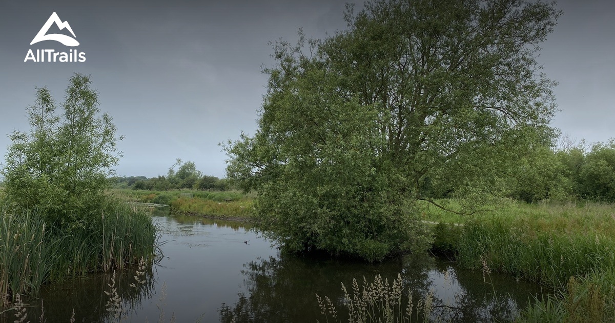 Best hikes and trails in Doxey Marshes | AllTrails
