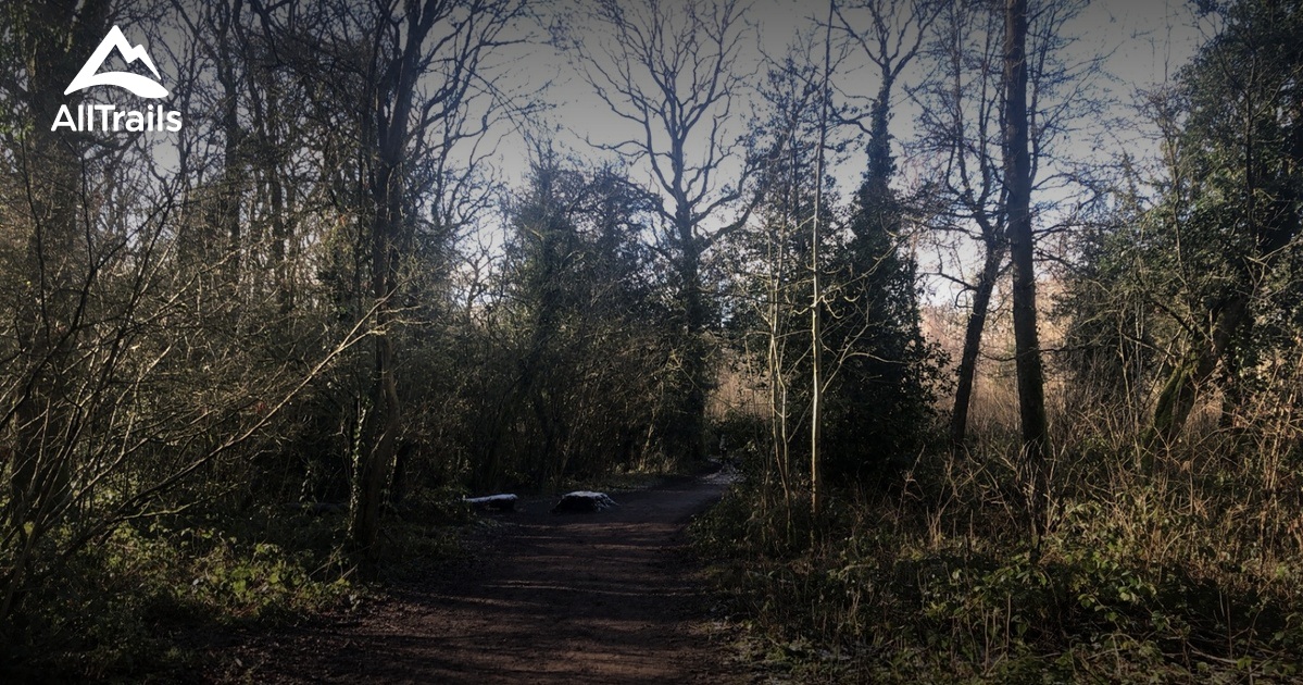 Best forest trails in Worcester Woods Country Park | AllTrails