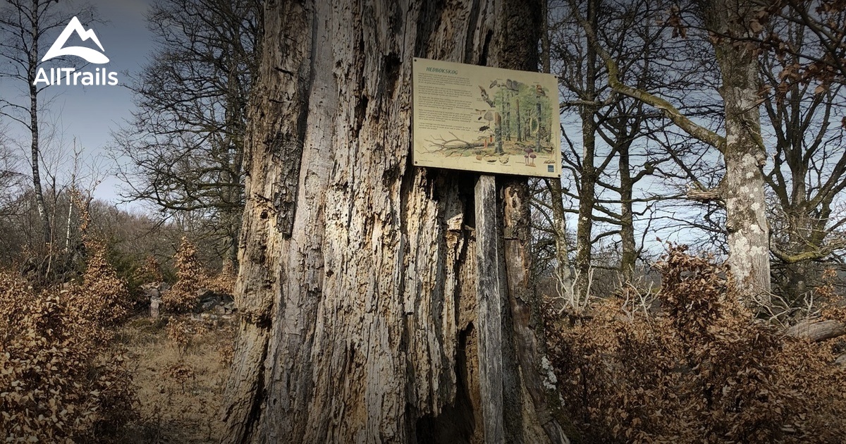 Best short trails in Libbhults ängars naturreservat | AllTrails