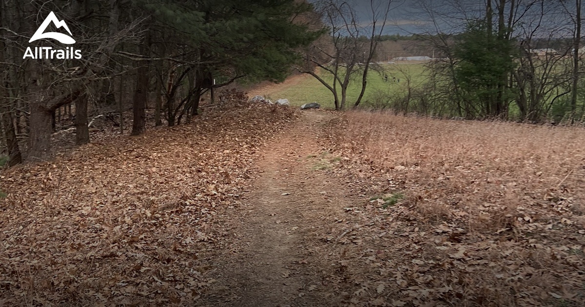 Best hikes and trails in Wetherbee Conservation Land | AllTrails