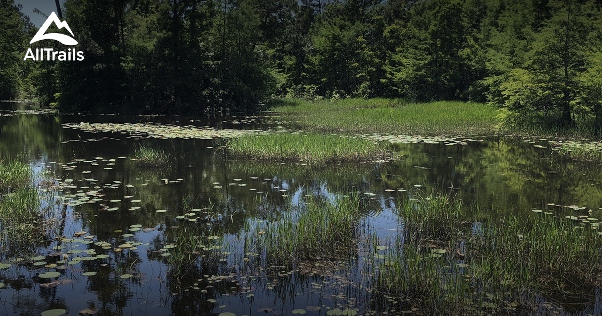 Best hikes and trails in Atascocita Park | AllTrails