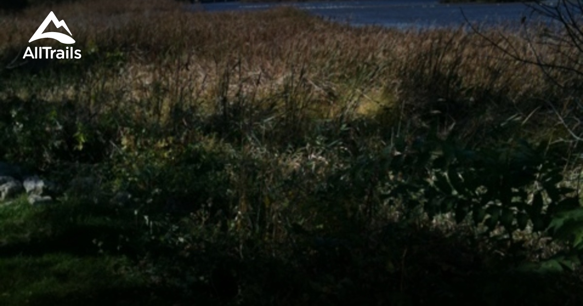 Best hikes and trails in Window on the Waterfront | AllTrails