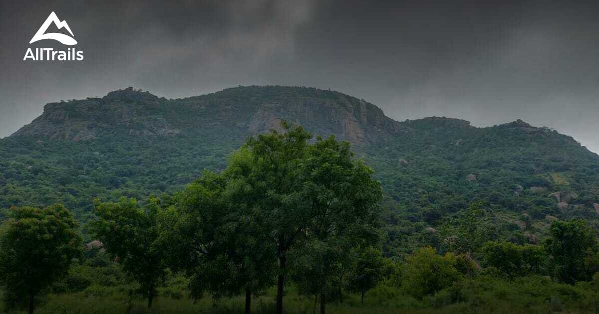 Best hikes and trails in Kabbala state forest | AllTrails