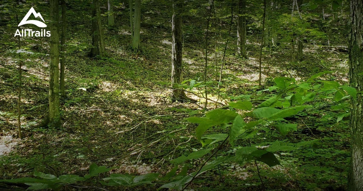 Best hikes and trails in Fruithaven Nature Preserve | AllTrails