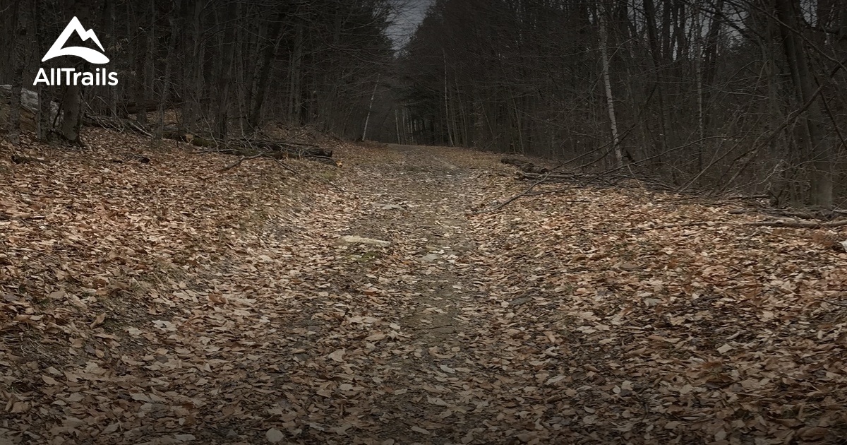 Best hikes and trails in Kirvin Park | AllTrails