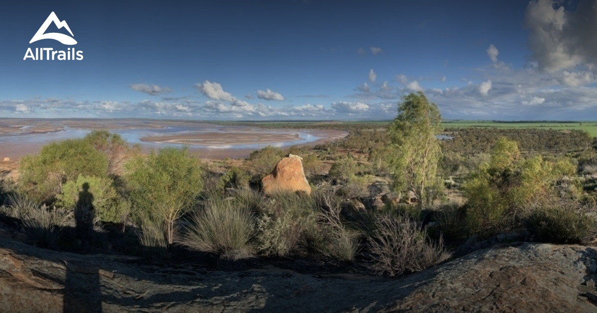 Best hikes and trails in Lake Campion Nature Reserve | AllTrails
