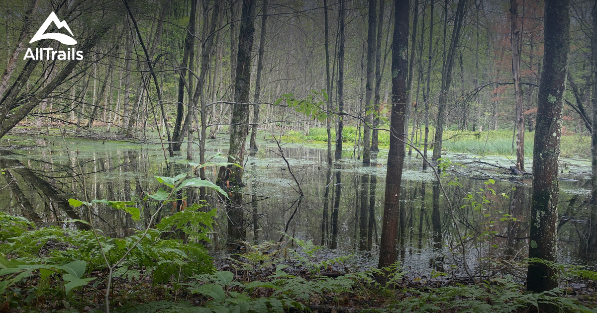 Best moderate trails in Hungerford Lake Recreation Area | AllTrails