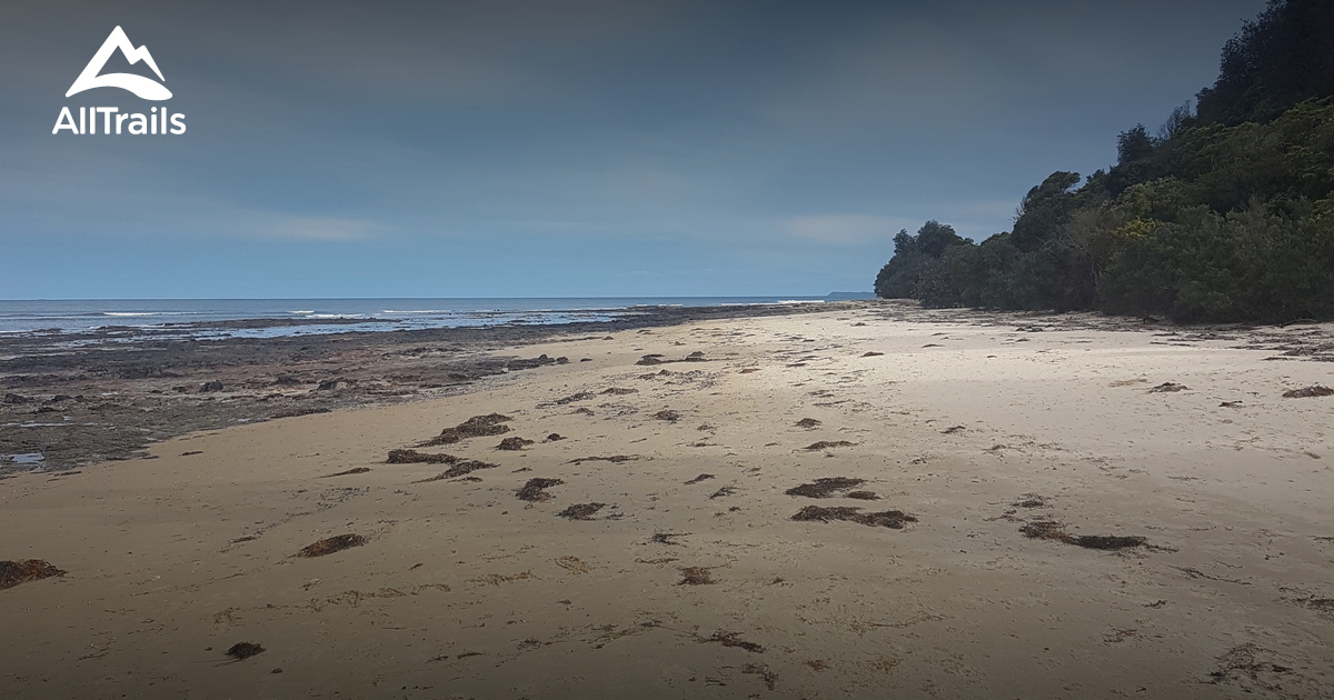 Die Besten Einfachen Routen in Flinders Somers Coastal Reserve | AllTrails