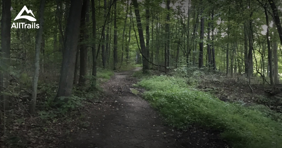 Best hikes and trails in Lydick Bog Nature Preserve | AllTrails