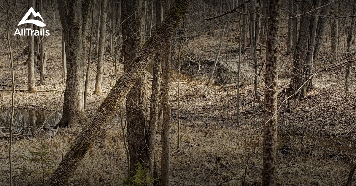 Best hikes and trails in Midland City Forest | AllTrails